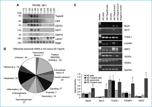 Cell Surface Tetraspanin Tspan8 Contributes to Molecular Pathways of ...