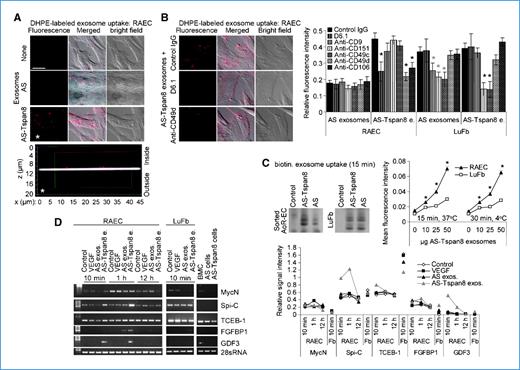 Cell Surface Tetraspanin Tspan8 Contributes to Molecular Pathways of ...
