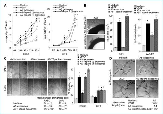 Cell Surface Tetraspanin Tspan8 Contributes to Molecular Pathways of ...