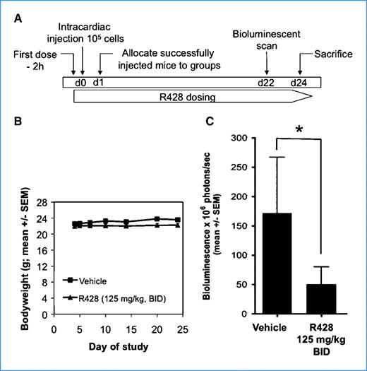 R428, a Selective Small Molecule Inhibitor of Axl Kinase, Blocks Tumor ...