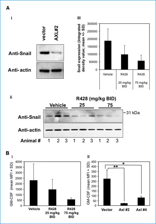 R428, a Selective Small Molecule Inhibitor of Axl Kinase, Blocks Tumor ...