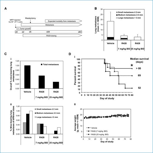 R428, a Selective Small Molecule Inhibitor of Axl Kinase, Blocks Tumor ...