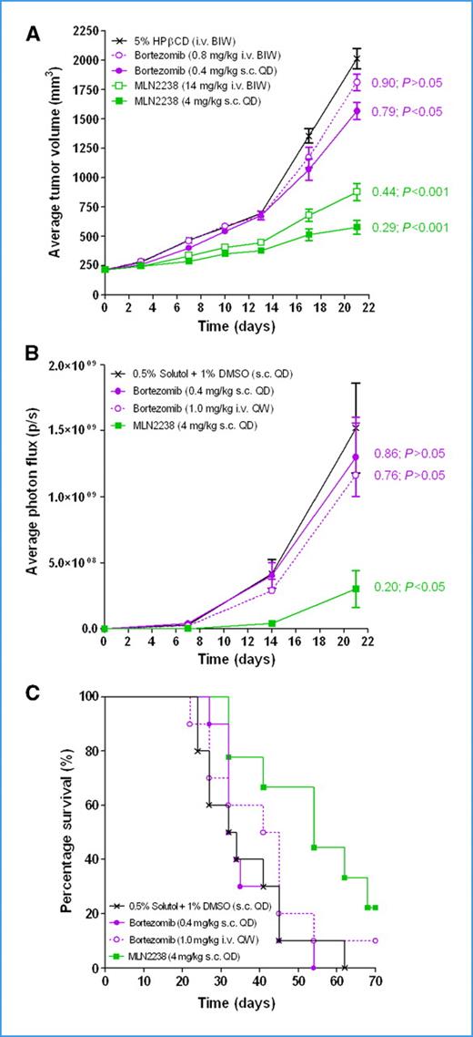 Evaluation of the Proteasome Inhibitor MLN9708 in Preclinical Models of ...
