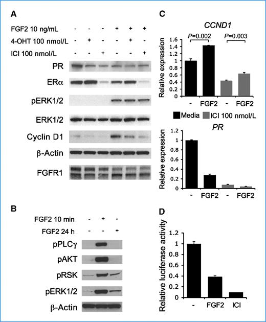 FGFR1 Amplification Drives Endocrine Therapy Resistance and Is a ...