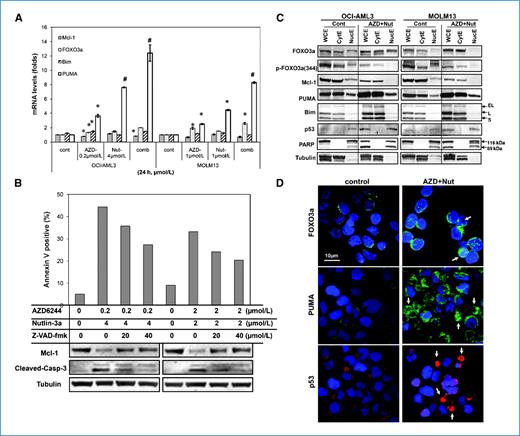 Blockade of Mitogen-Activated Protein Kinase/Extracellular Signal ...
