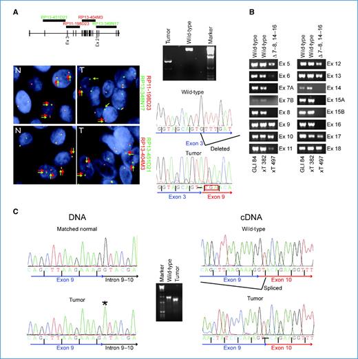 A Genome-Wide Screen for Microdeletions Reveals Disruption of Polarity ...