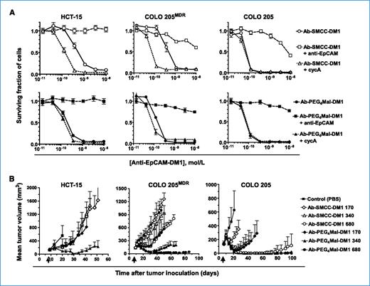 Antibody-Maytansinoid Conjugates Designed to Bypass Multidrug ...