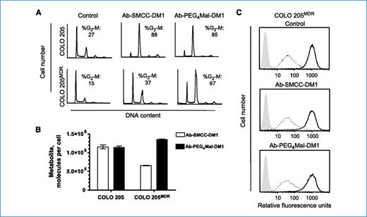 Antibody-Maytansinoid Conjugates Designed to Bypass Multidrug ...