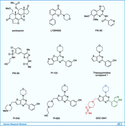 Drugging the PI3 Kinome: From Chemical Tools to Drugs in the Clinic ...