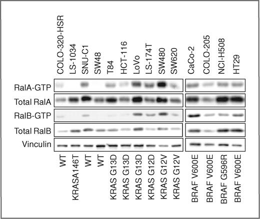 Activation and Involvement of Ral GTPases in Colorectal Cancer | Cancer ...