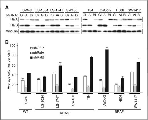 Activation and Involvement of Ral GTPases in Colorectal Cancer | Cancer ...