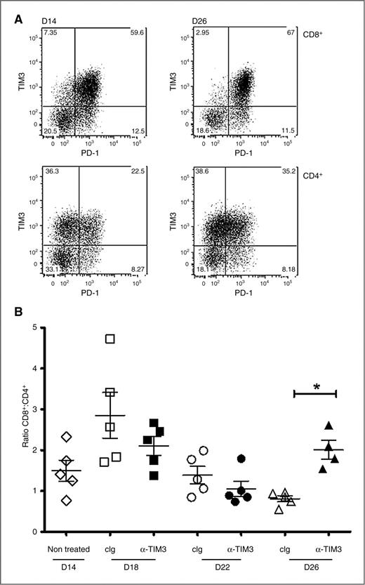 Anti-TIM3 Antibody Promotes T Cell IFN-γ–Mediated Antitumor Immunity ...