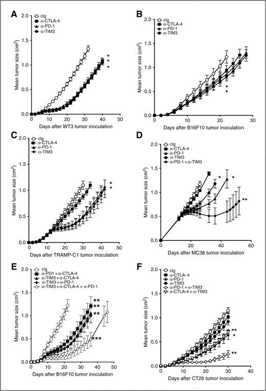 Anti-TIM3 Antibody Promotes T Cell IFN-γ–Mediated Antitumor Immunity ...