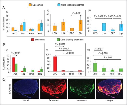 Exosomes Released by Melanoma Cells Prepare Sentinel Lymph Nodes for ...