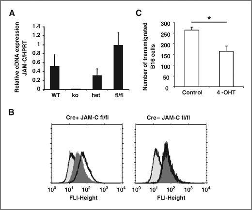 A Novel Function of Junctional Adhesion Molecule-C in Mediating ...