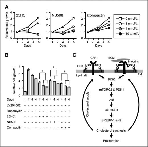 Positive Feedback Loop Between PI3K-Akt-mTORC1 Signaling and the ...