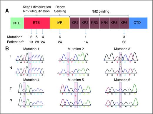 Keap1 Mutations and Nrf2 Pathway Activation in Epithelial Ovarian ...