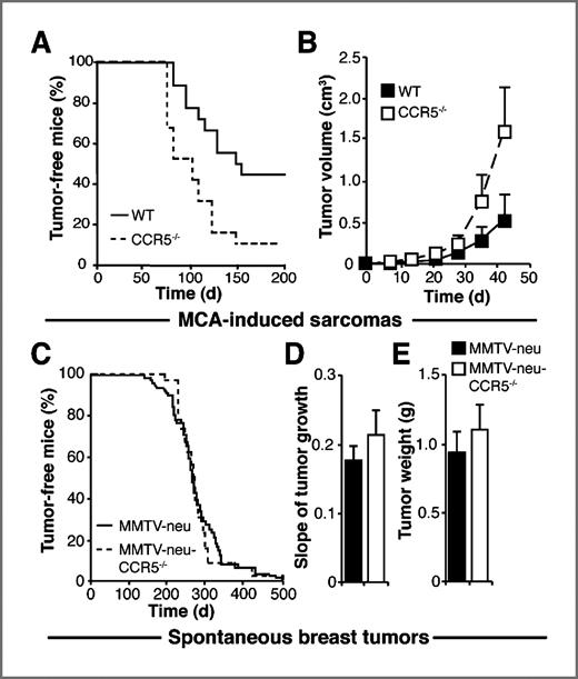 Maximal T Cell–Mediated Antitumor Responses Rely upon CCR5 Expression ...