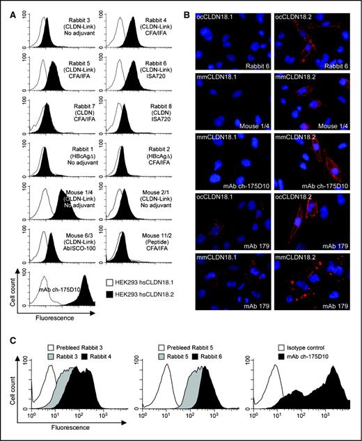 Highly Specific Auto-Antibodies against Claudin-18 Isoform 2 Induced by ...
