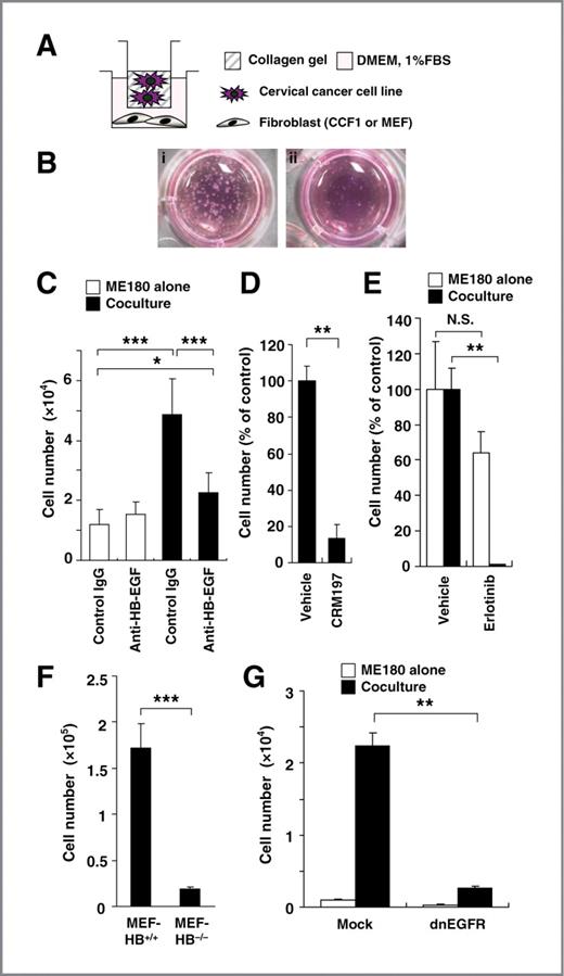 HB-EGF and PDGF Mediate Reciprocal Interactions of Carcinoma Cells with ...