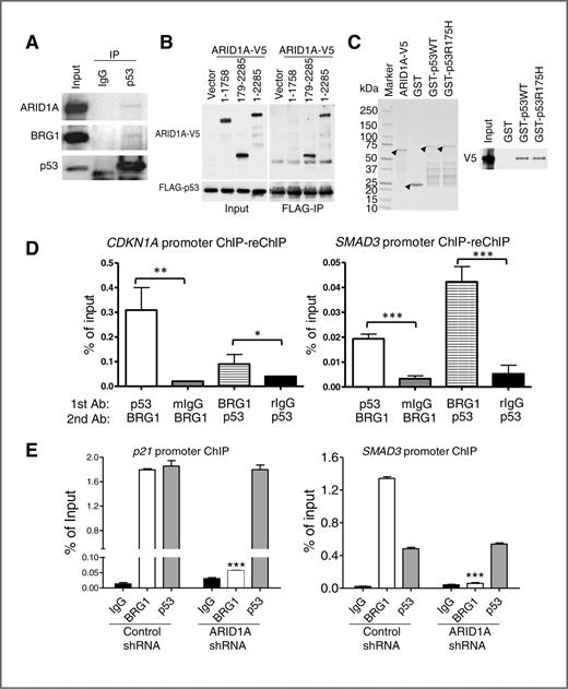 ARID1A, a Factor That Promotes Formation of SWI/SNF-Mediated Chromatin ...
