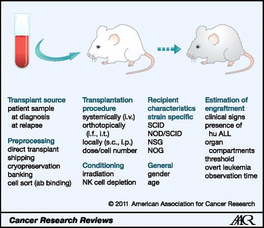Diversity of Human Leukemia Xenograft Mouse Models: Implications for ...