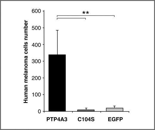 High PTP4A3 Phosphatase Expression Correlates with Metastatic Risk in ...