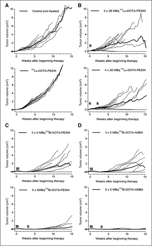 Alpha- versus Beta-Particle Radiopeptide Therapy in a Human Prostate ...