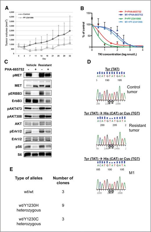 Multiple Mutations and Bypass Mechanisms Can Contribute to Development ...