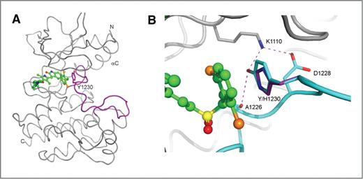 Multiple Mutations and Bypass Mechanisms Can Contribute to Development ...