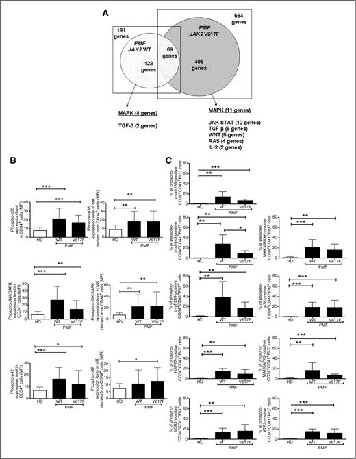 FLT3-Mediated p38–MAPK Activation Participates in the Control of ...