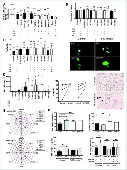 FLT3-Mediated p38–MAPK Activation Participates in the Control of ...
