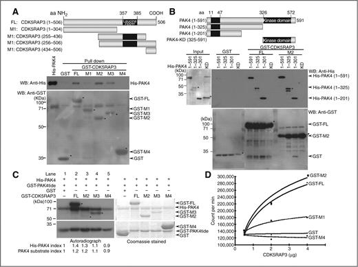 Overexpression of a Novel Activator of PAK4, the CDK5 Kinase–Associated ...