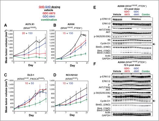 Intermittent Administration of MEK Inhibitor GDC-0973 plus PI3K ...