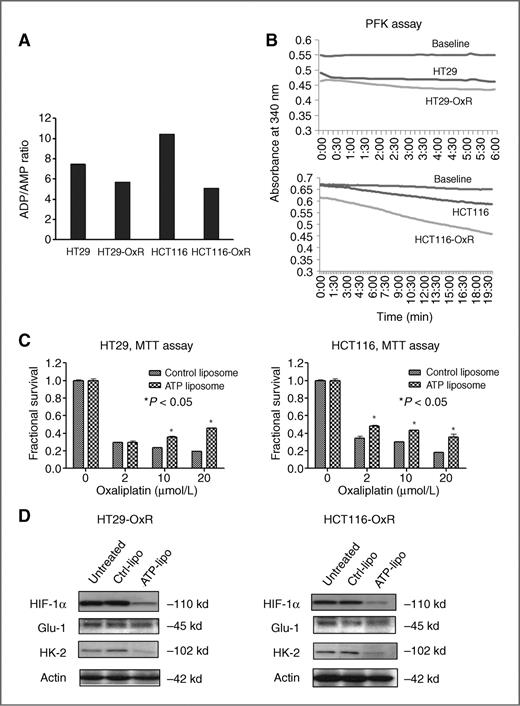 Intracellular ATP Levels Are a Pivotal Determinant of Chemoresistance ...