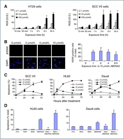 Dinitroazetidines Are a Novel Class of Anticancer Agents and Hypoxia ...