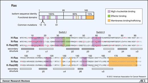 A Comprehensive Survey of Ras Mutations in Cancer | Cancer Research ...