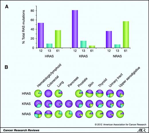 A Comprehensive Survey of Ras Mutations in Cancer | Cancer Research ...