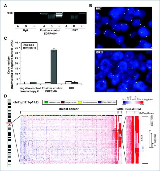 Epidermal Growth Factor Receptor Variant III Contributes to Cancer Stem ...