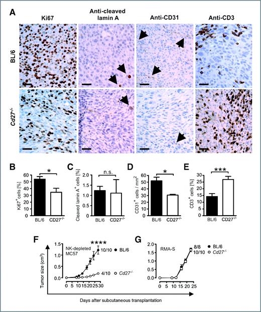 CD27 Signaling Increases the Frequency of Regulatory T Cells and ...