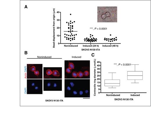NAC1 Is an Actin-Binding Protein That Is Essential for Effective ...