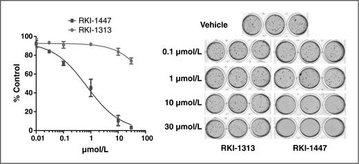 RKI-1447 Is a Potent Inhibitor of the Rho-Associated ROCK Kinases with ...