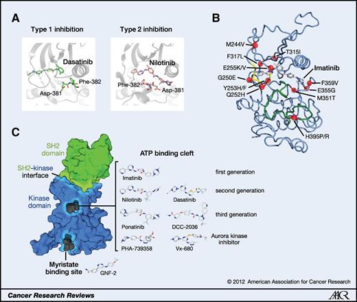 The Growing Arsenal of ATP-Competitive and Allosteric Inhibitors of BCR ...