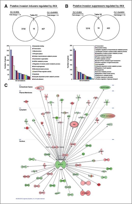 Adenylate Kinase-4 Is a Marker of Poor Clinical Outcomes That Promotes ...