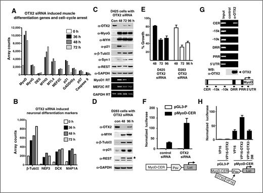 OTX2 Represses Myogenic and Neuronal Differentiation in Medulloblastoma ...