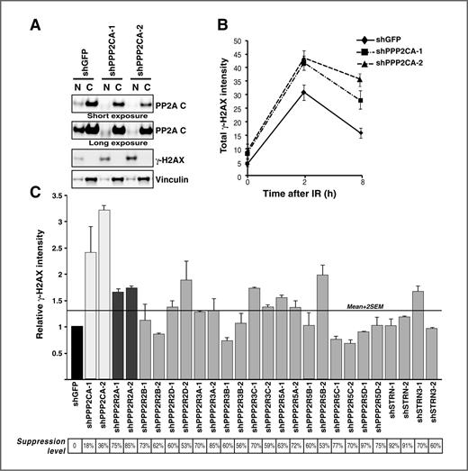 Loss of PPP2R2A Inhibits Homologous Recombination DNA Repair and ...