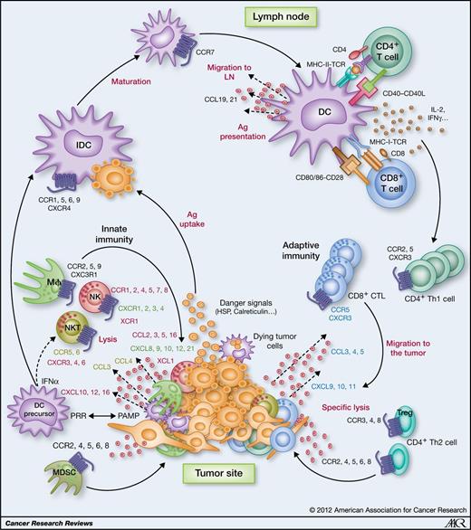 Role Of Chemokines And Chemokine Receptors In Shaping The Effector
