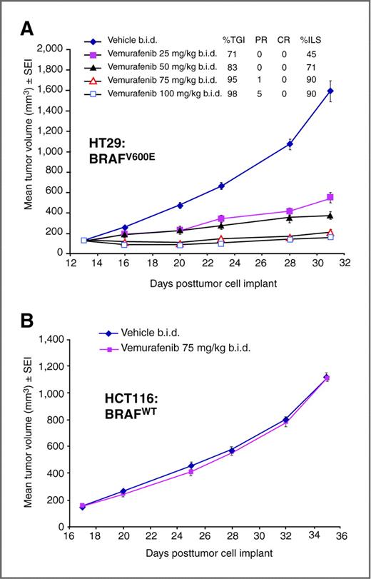 Antitumor Activity of BRAF Inhibitor Vemurafenib in Preclinical Models ...