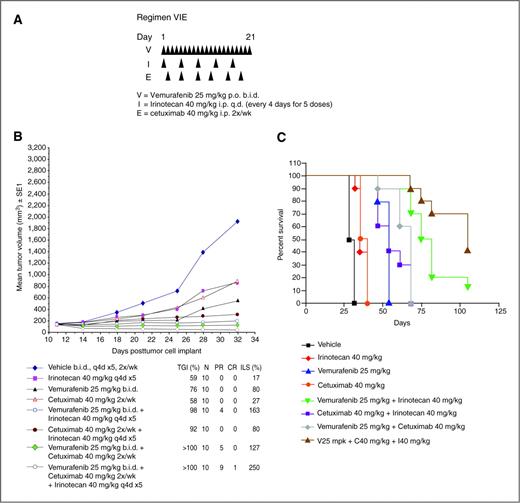 Antitumor Activity of BRAF Inhibitor Vemurafenib in Preclinical Models ...
