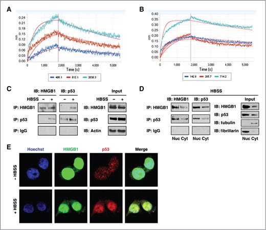 p53/HMGB1 Complexes Regulate Autophagy and Apoptosis | Cancer Research ...
